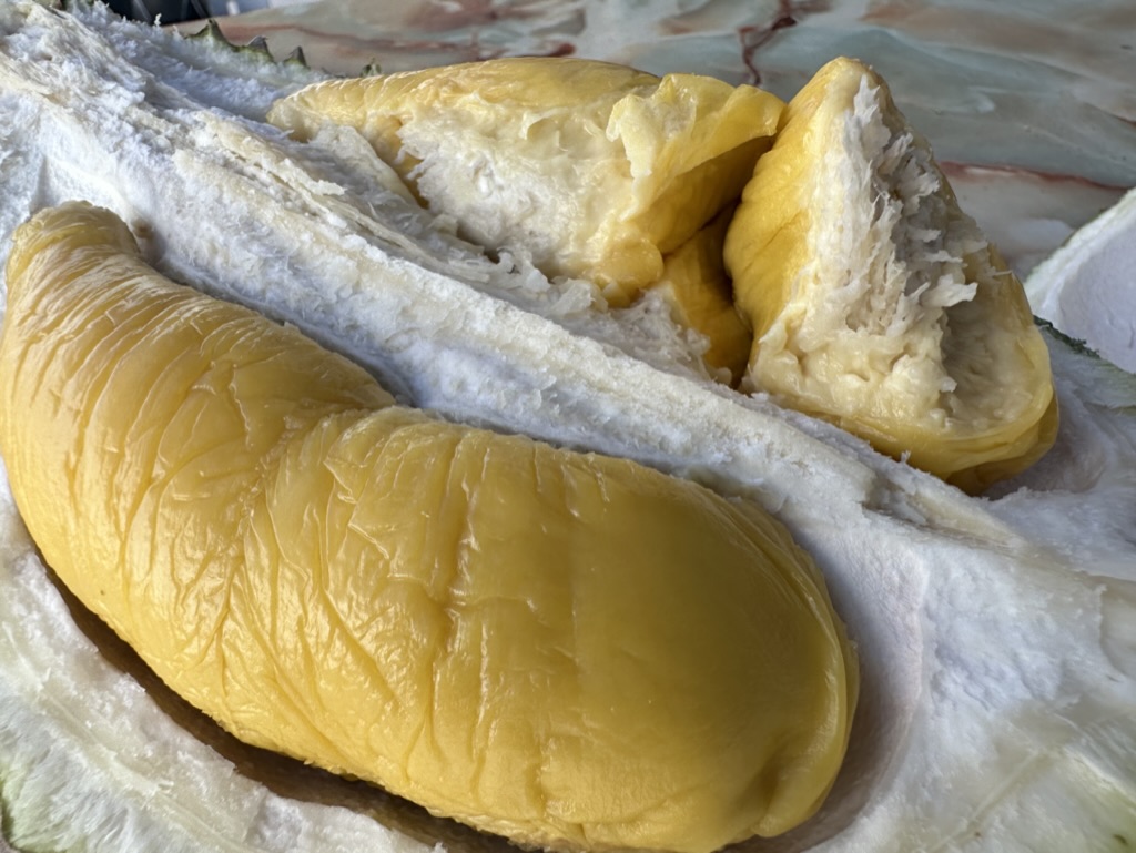 Good Durian @ Machapking 自家榴莲 – miniLiew